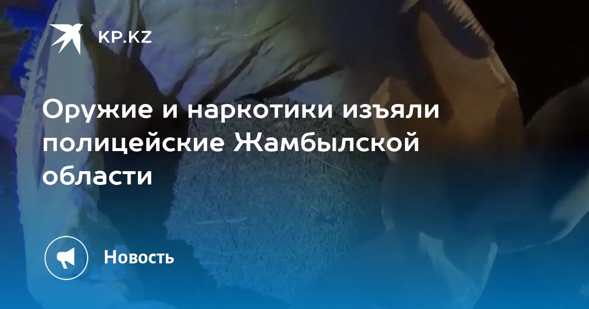 Оружие и наркотики изъяли полицейские Жамбылской области - KP.KZ
