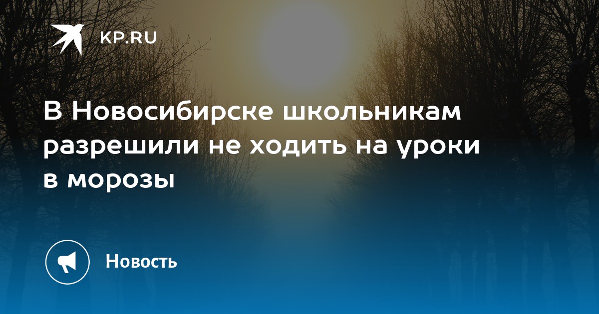 В Новосибирске школьникам разрешили не ходить на уроки в морозы - KP.RU