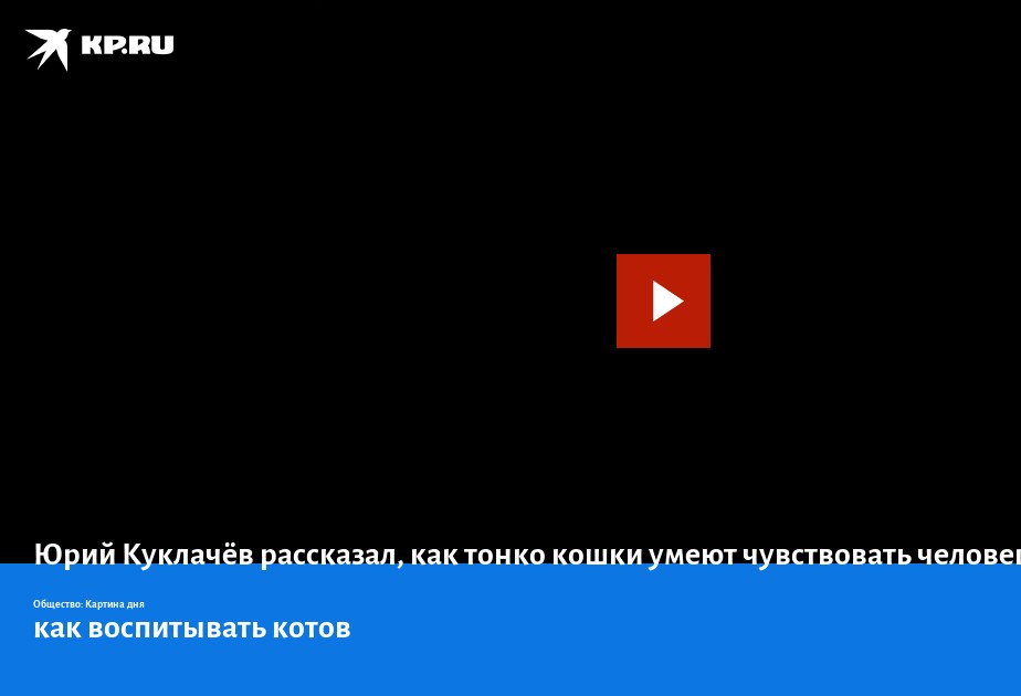 Юрий Куклачёв рассказал, как тонко кошки умеют чувствовать человека и о ...